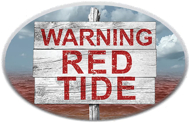 Fighting Red Tide: The Role of Wastewater Treatment